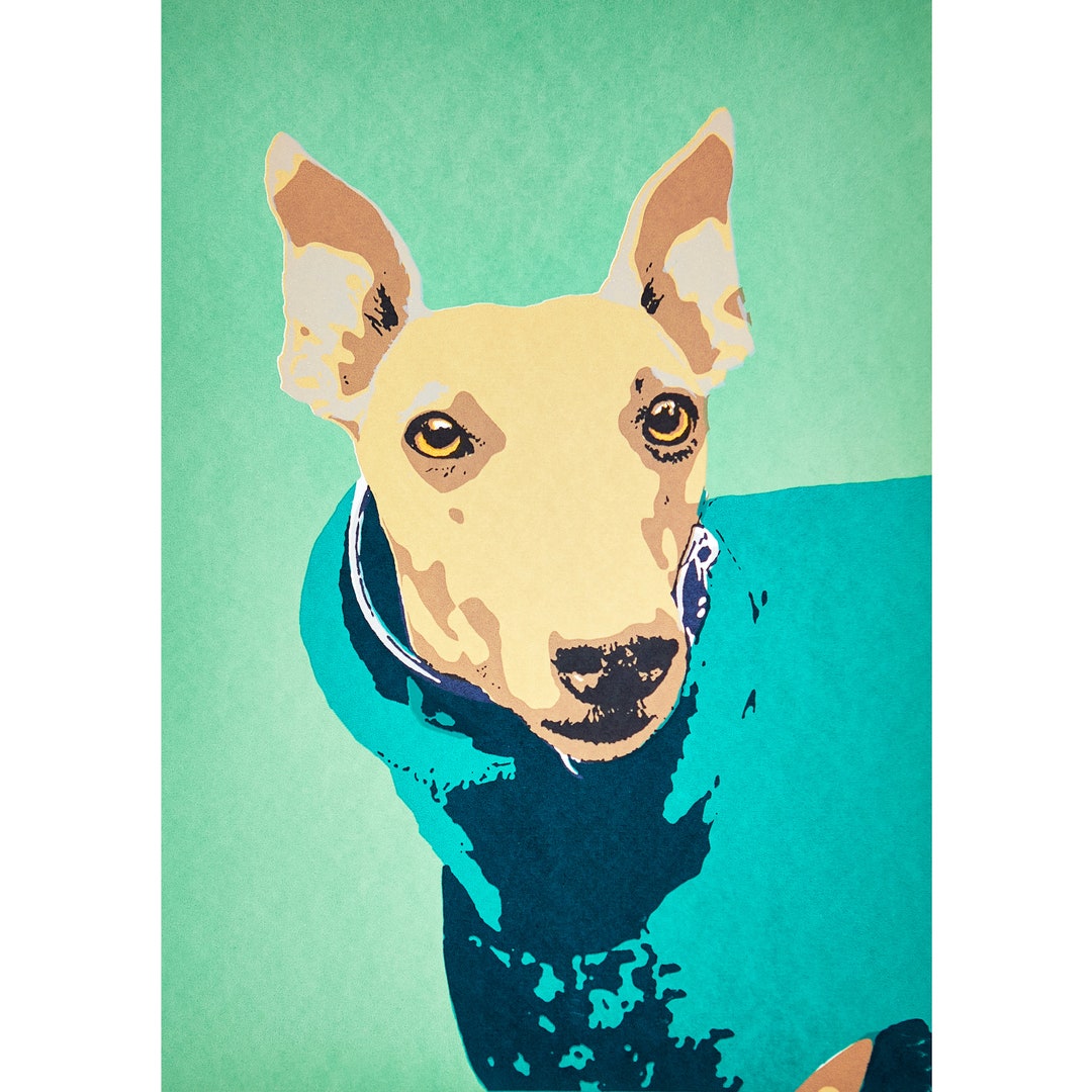 Buzz Whippet Greetings Card - Etsy