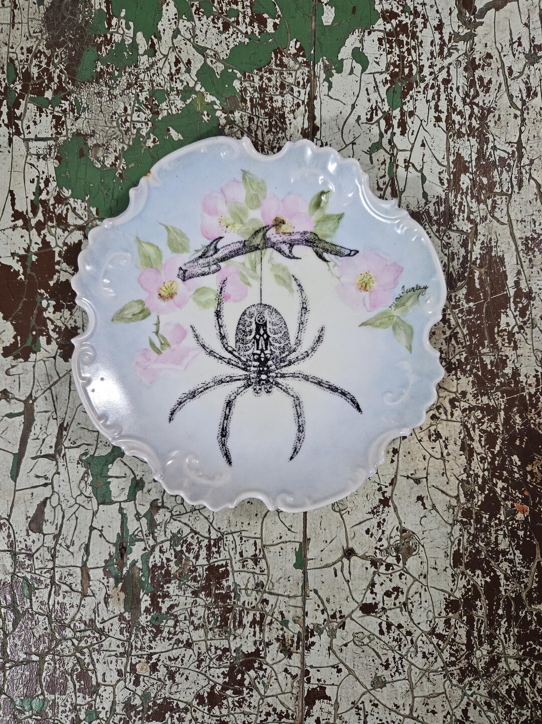 Victorian Spider Illustration Altered Art Decorative Hanging Wall Plate ...