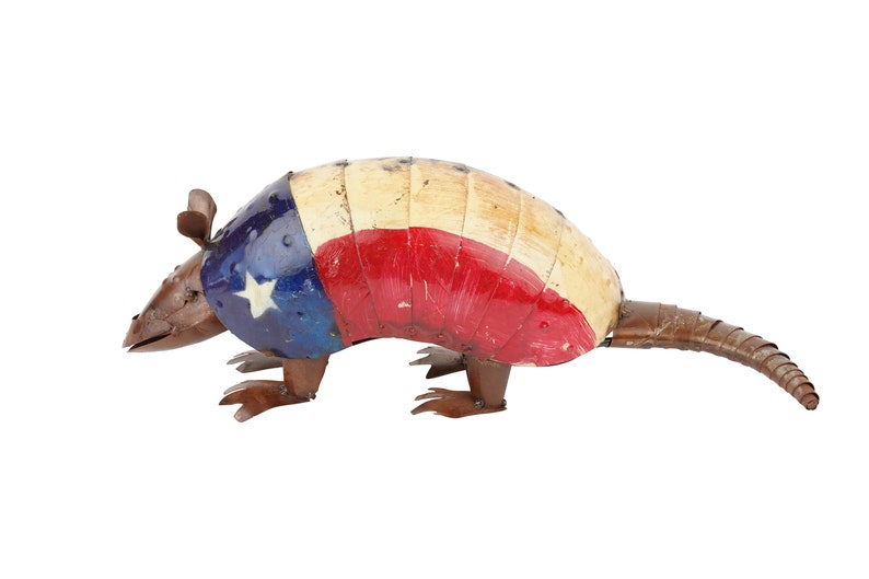 Andy the Texas Armadillo™-garden Metal-hand Painted-handmade-garden ...