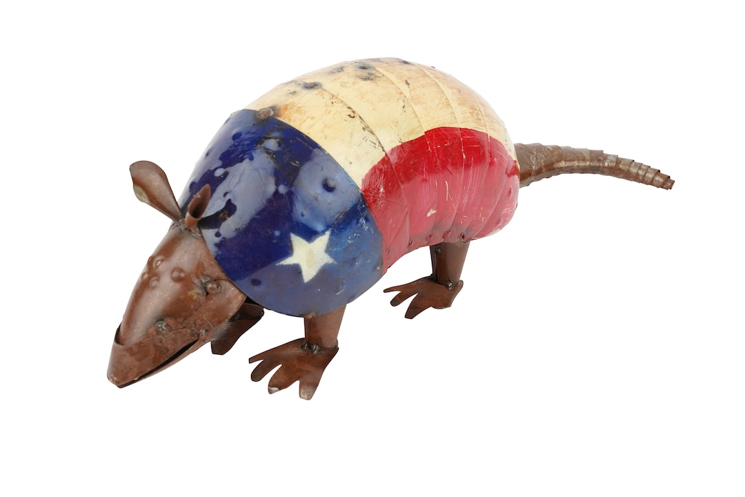 Andy the Texas Armadillo™-garden Metal-hand Painted-handmade-garden ...