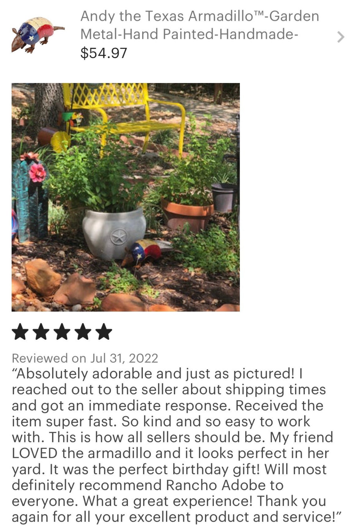 Andy the Texas Armadillo™garden Metal-hand - Etsy