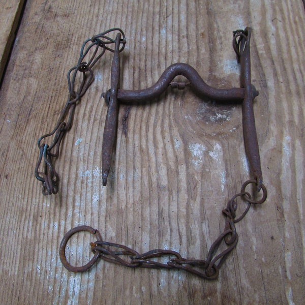 Antique Horse Bit - Etsy