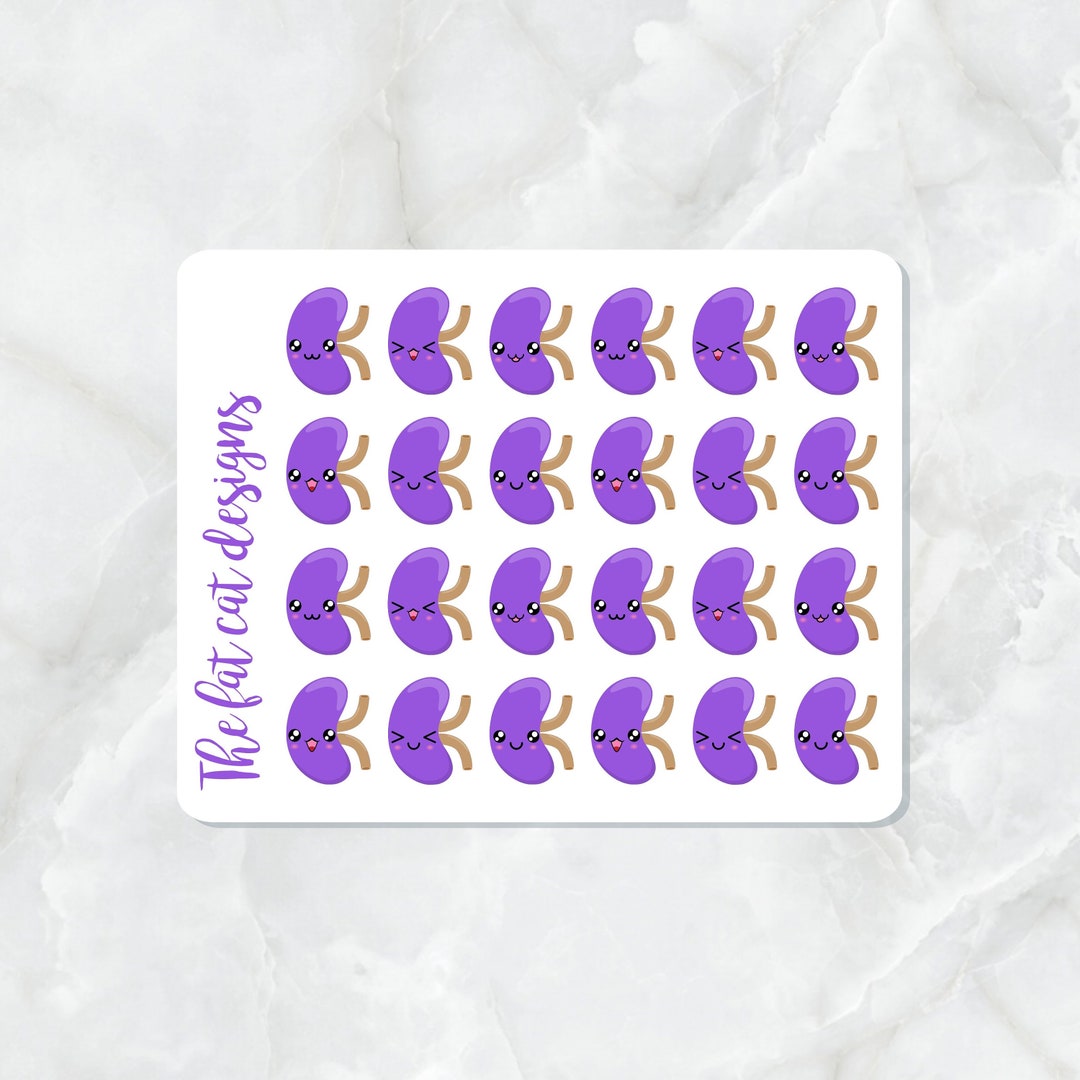 Happy Kidneys Planner Stickers for Erin Condren Happy Planner Filofax ...