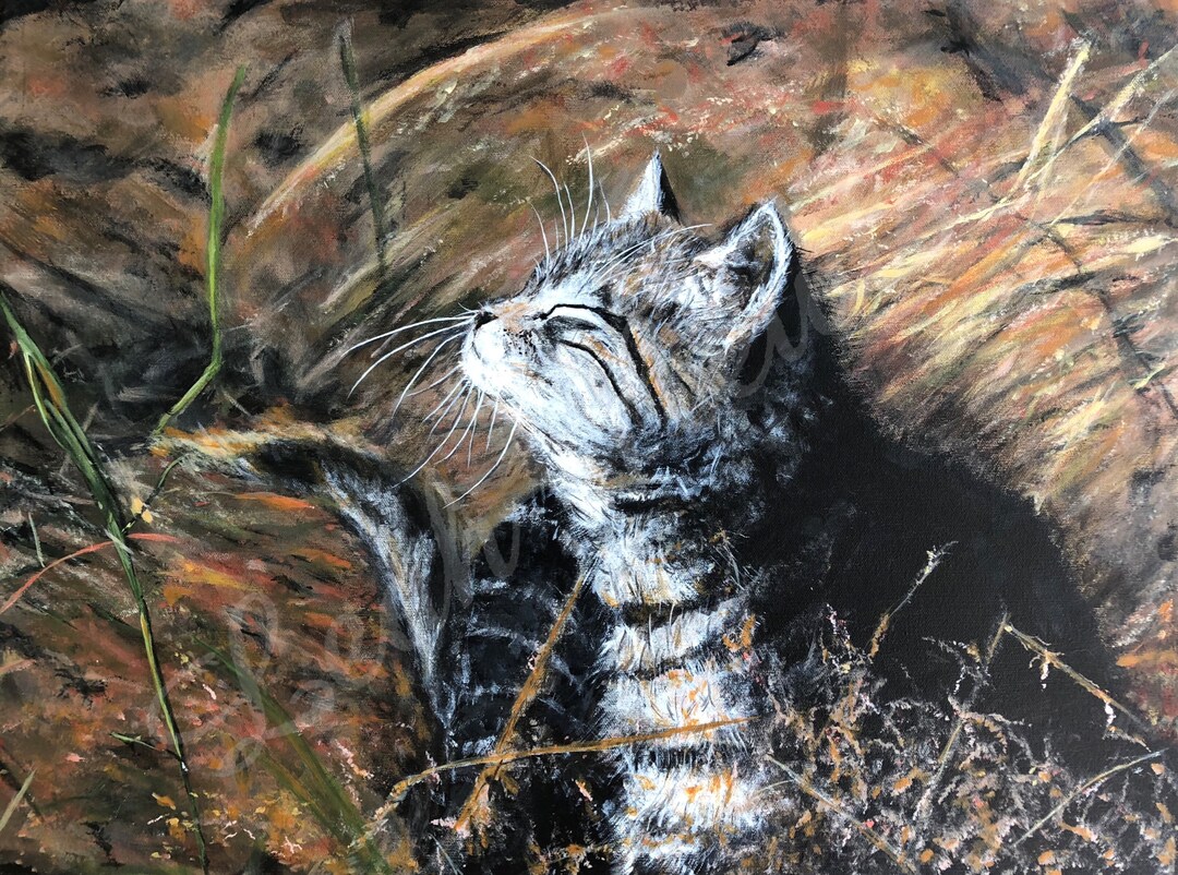 Happy Cat in the Sun - Etsy