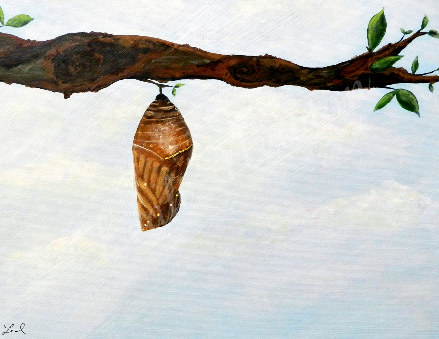 Mystery Cocoon Giclee Art Print - Etsy