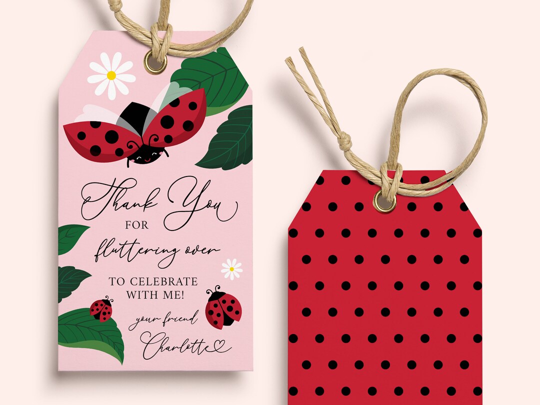 Ladybug Birthday Party Favour Tags | Girl Birthday Thank You Gift Tags ...