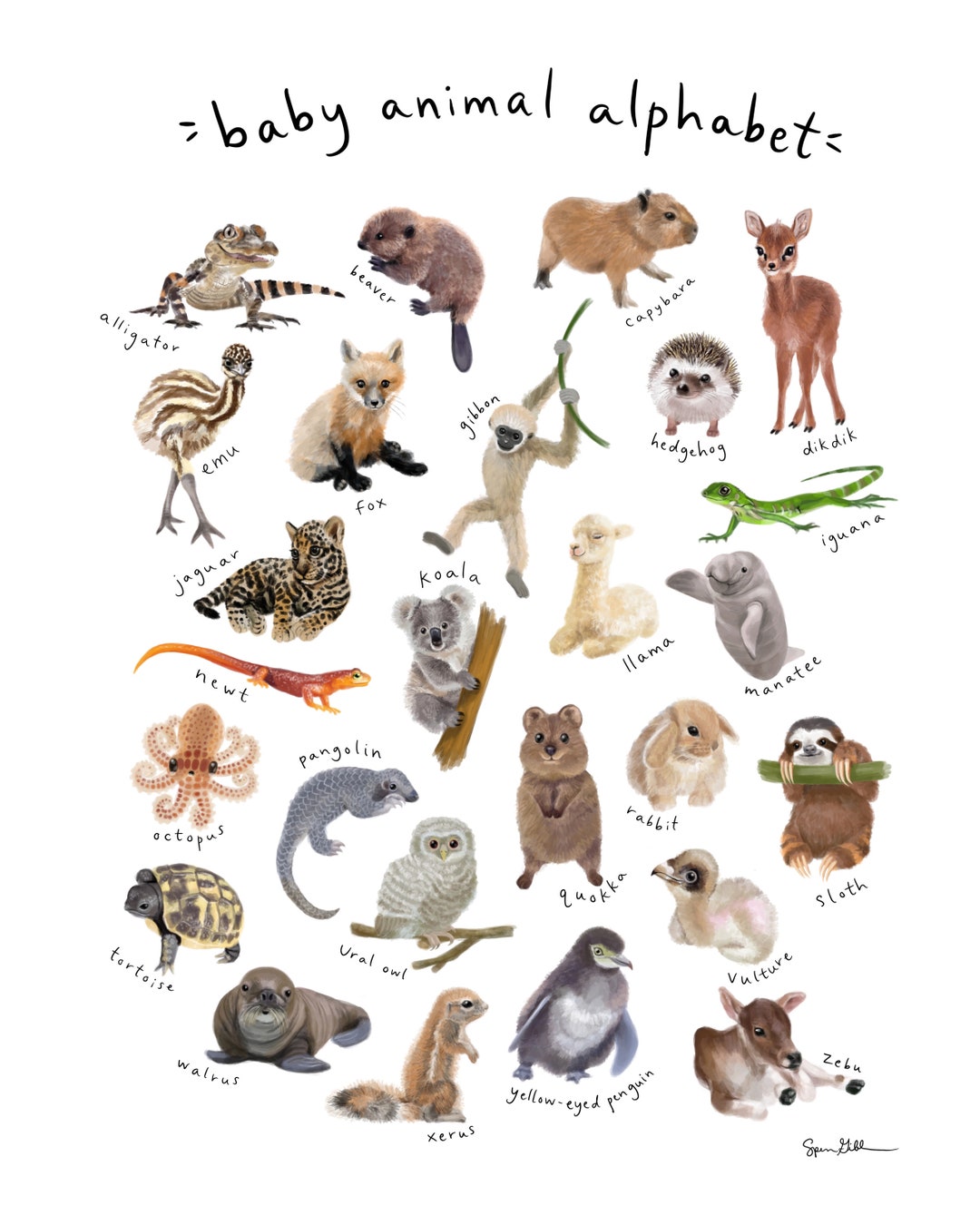 Baby Animal Alphabet DIGITAL DOWNLOAD - Etsy Canada