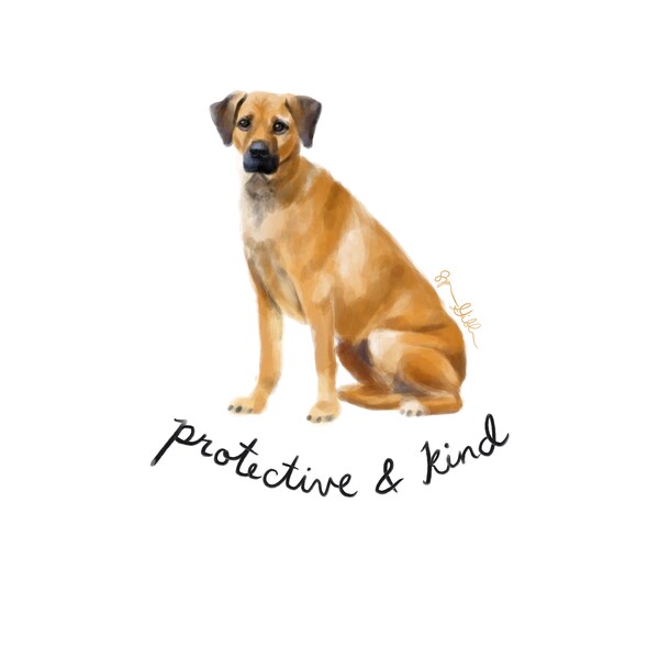 Black Mouth Cur Shirt - Etsy