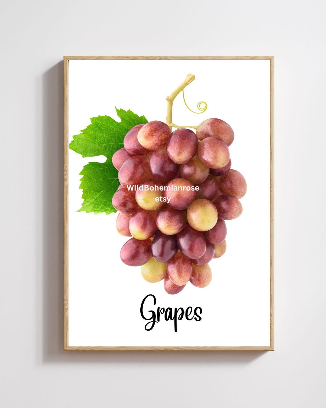 Grapes DIGITAL Fruit Illustration Print,farmhouse Garden, Botanical ...