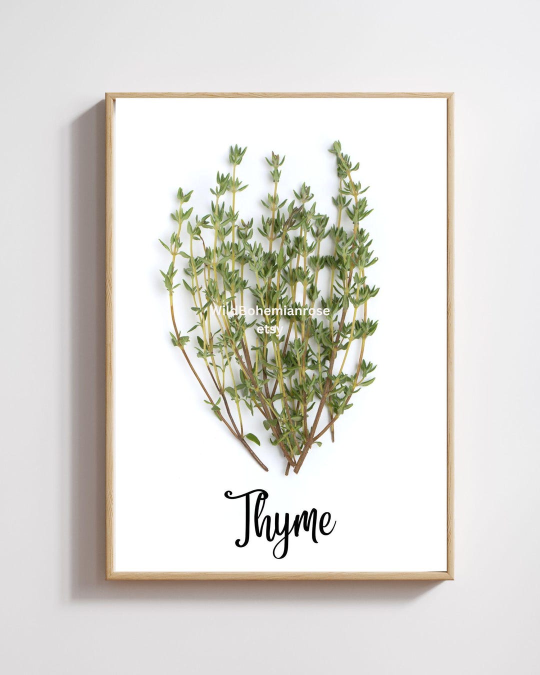 Thyme DIGITAL Herb Illustration Print, Garden, Botanical, Plant Artwork ...