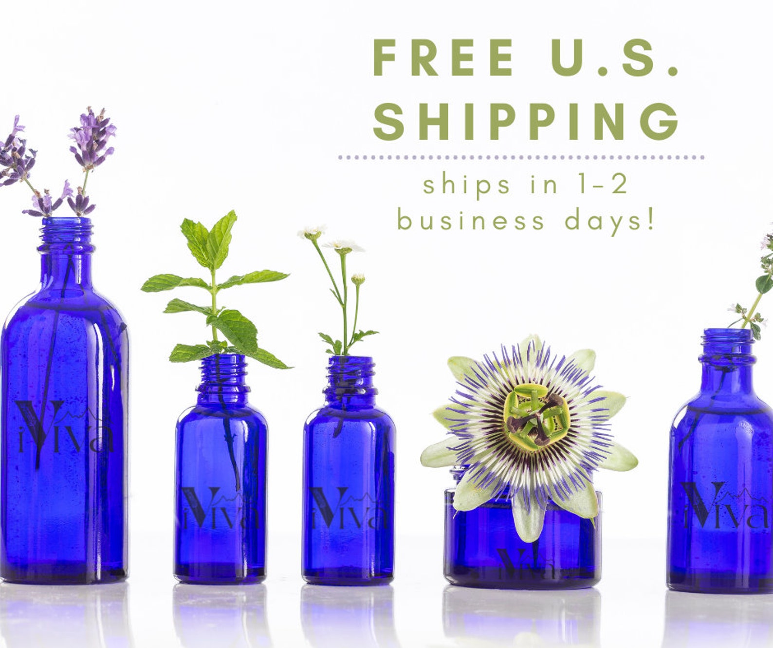 Smell Training Kit - Pure Essential Oils, Smell Kit, Rose Oil, Lemon ...