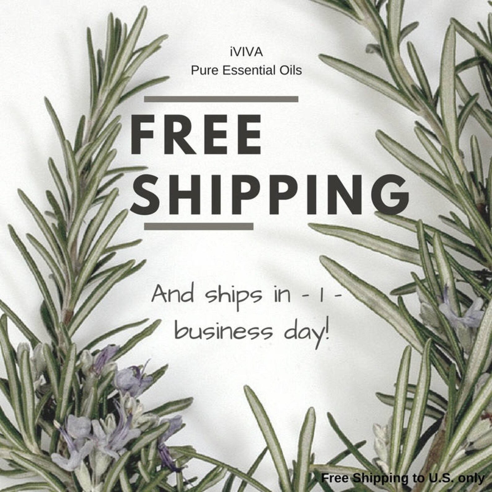 Tea Tree Roll On Tea Tree Roller Tea Tree Rollerball Roller | Etsy