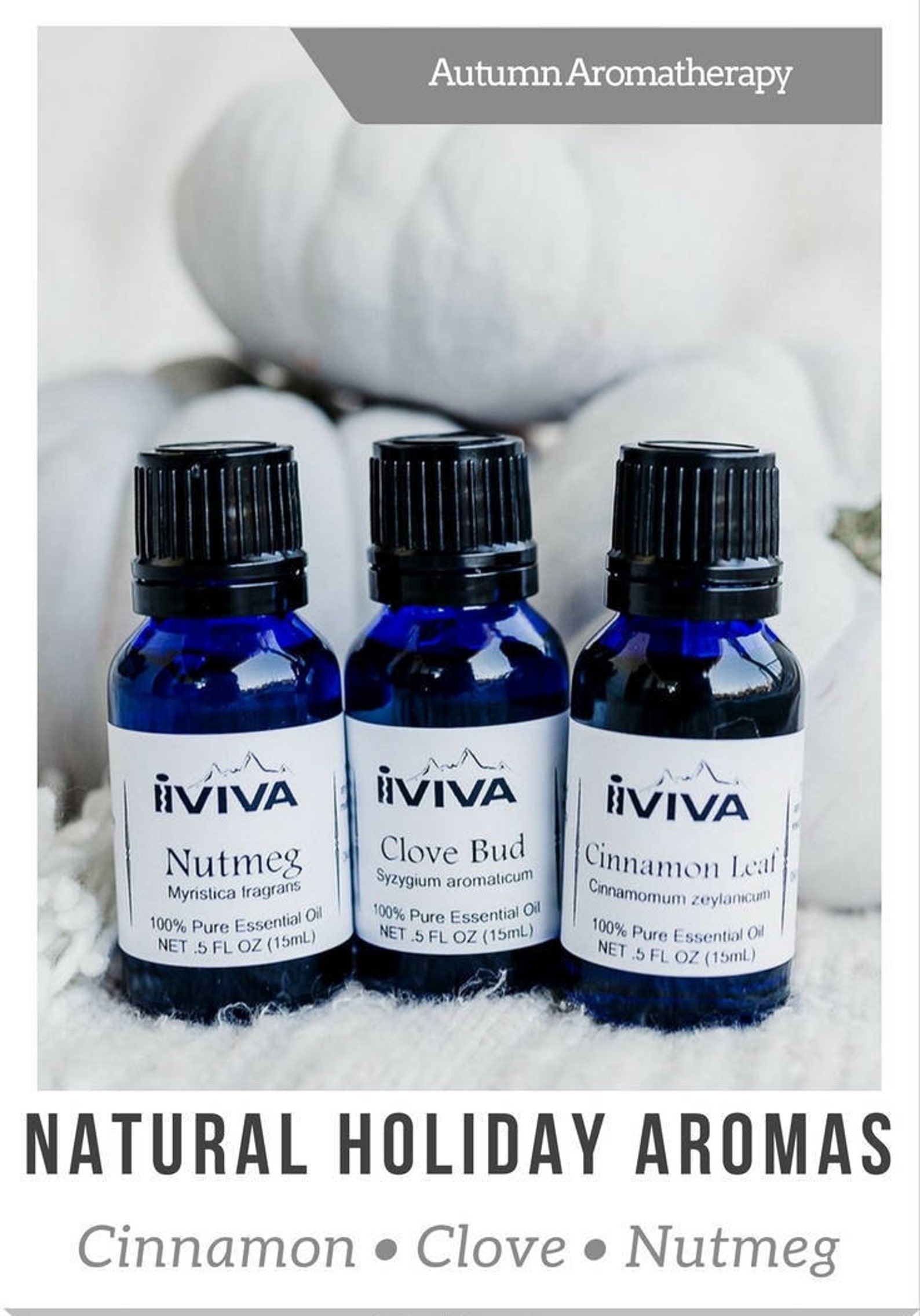 Fall Essential Oil Gift Set Autumn Essential Oil Blend - Etsy