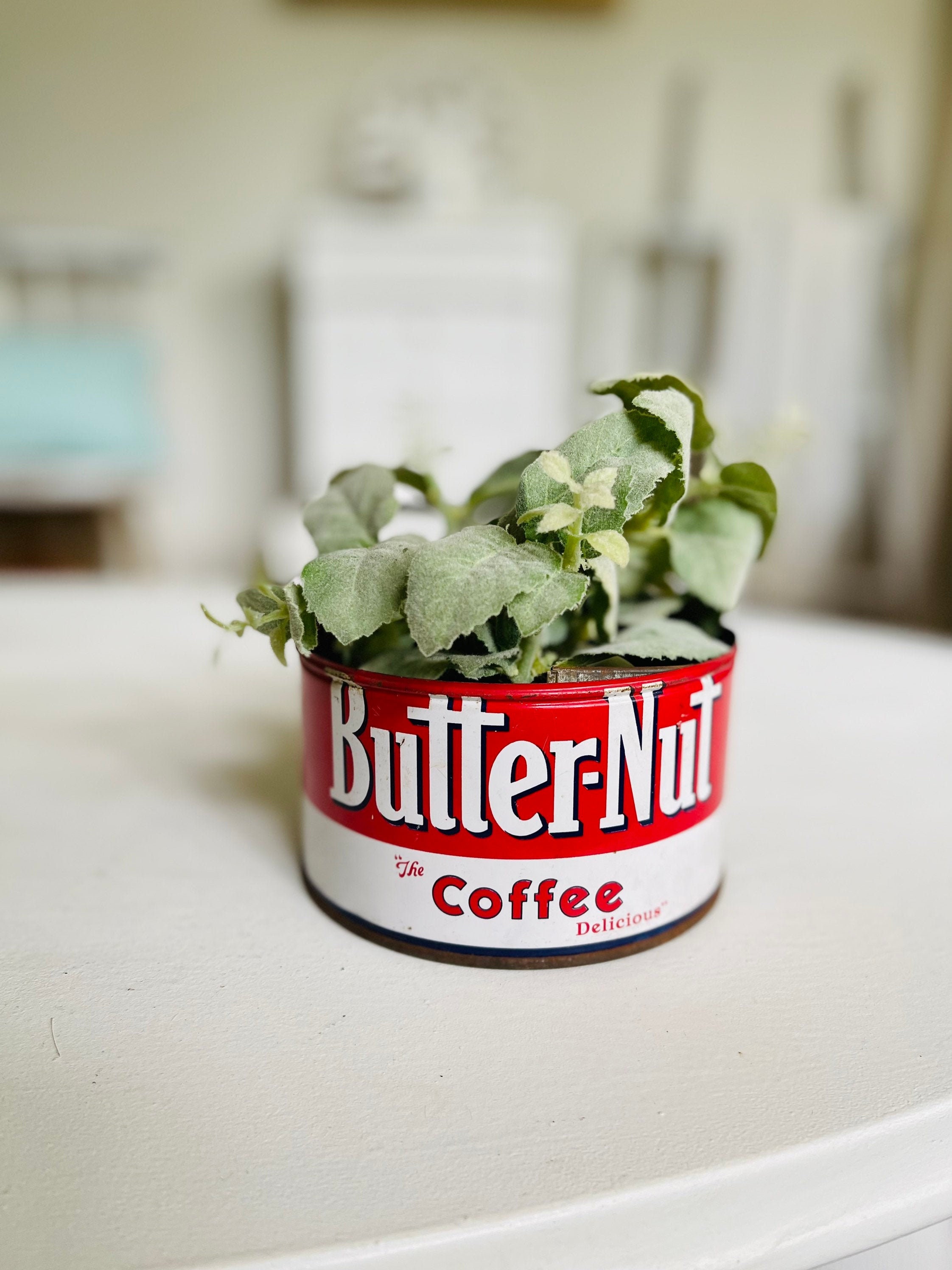 Vintage Butter-nut Coffee Tin: Omaha Advertising Can - Etsy