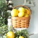 Lemon Basket-summer Decor-lemon Decor-lemon-fruit Decor-lemon Kitchen ...