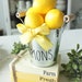 Galvanized Lemon Bucket-summer Decor-lemon Decor-lemon-fruit - Etsy