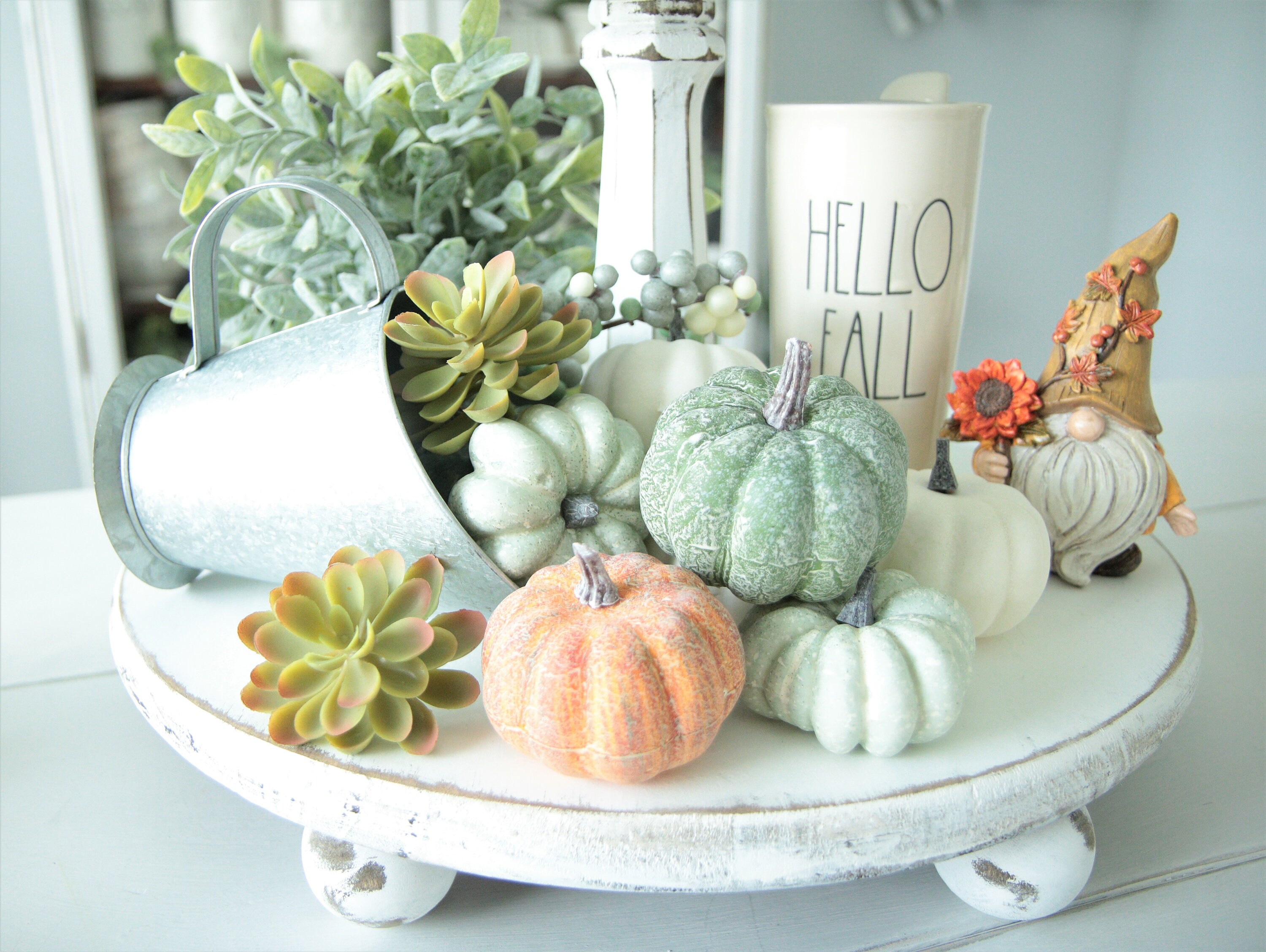 Fall Decor-pumpkins and Succulents-box Set Mixture-aqua - Etsy