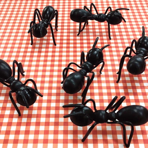 12 Large 3-D Ants Plastic Ant Cupcake & Cake Toppers Picnic - Etsy