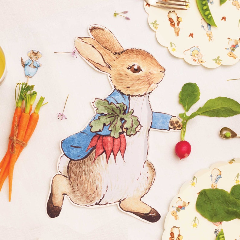 Peter Rabbit Plates Storybook Bunny Paper Plates Easter | Etsy