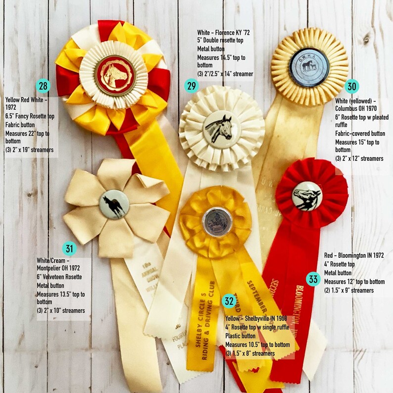 1970s Equestrian Awards Vintage Horse Show Ribbon Ribbons with Rosettes ...
