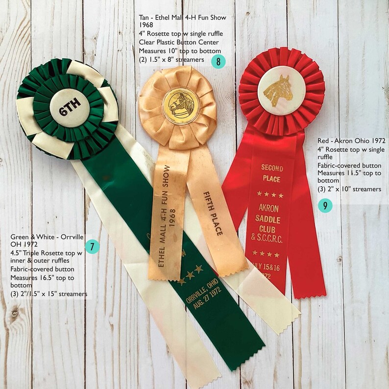 1970s Equestrian Awards Vintage Horse Show Ribbon Ribbons with Rosettes ...
