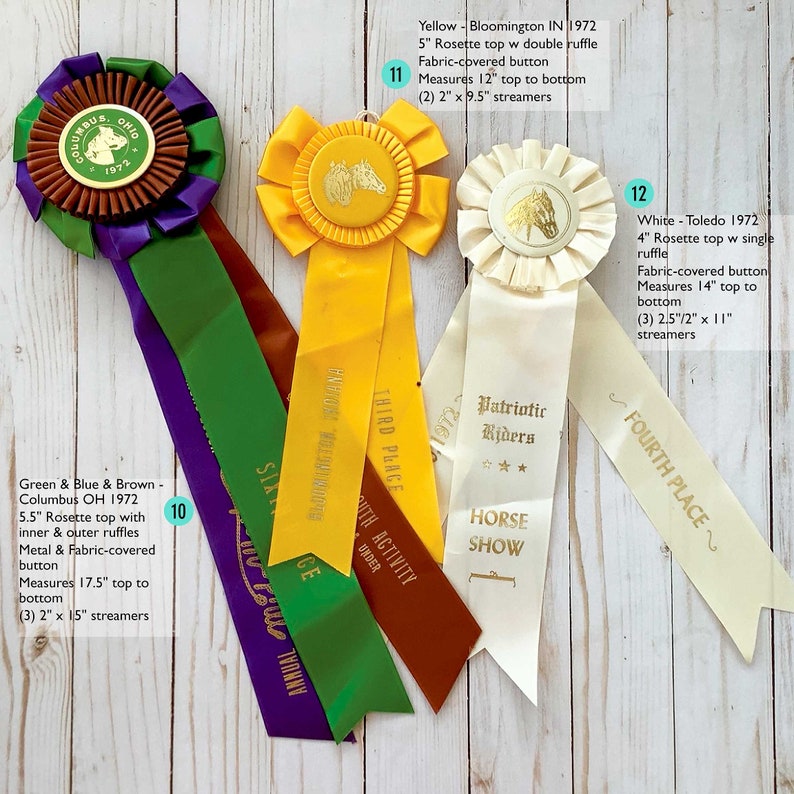 1970s Equestrian Awards Vintage Horse Show Ribbon Ribbons with Rosettes ...