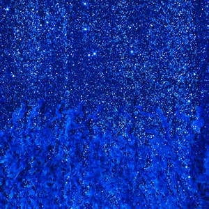 Royal Blue 5mm Sequins on a Stretch Velvet With Feathers 2-way Stretch ...