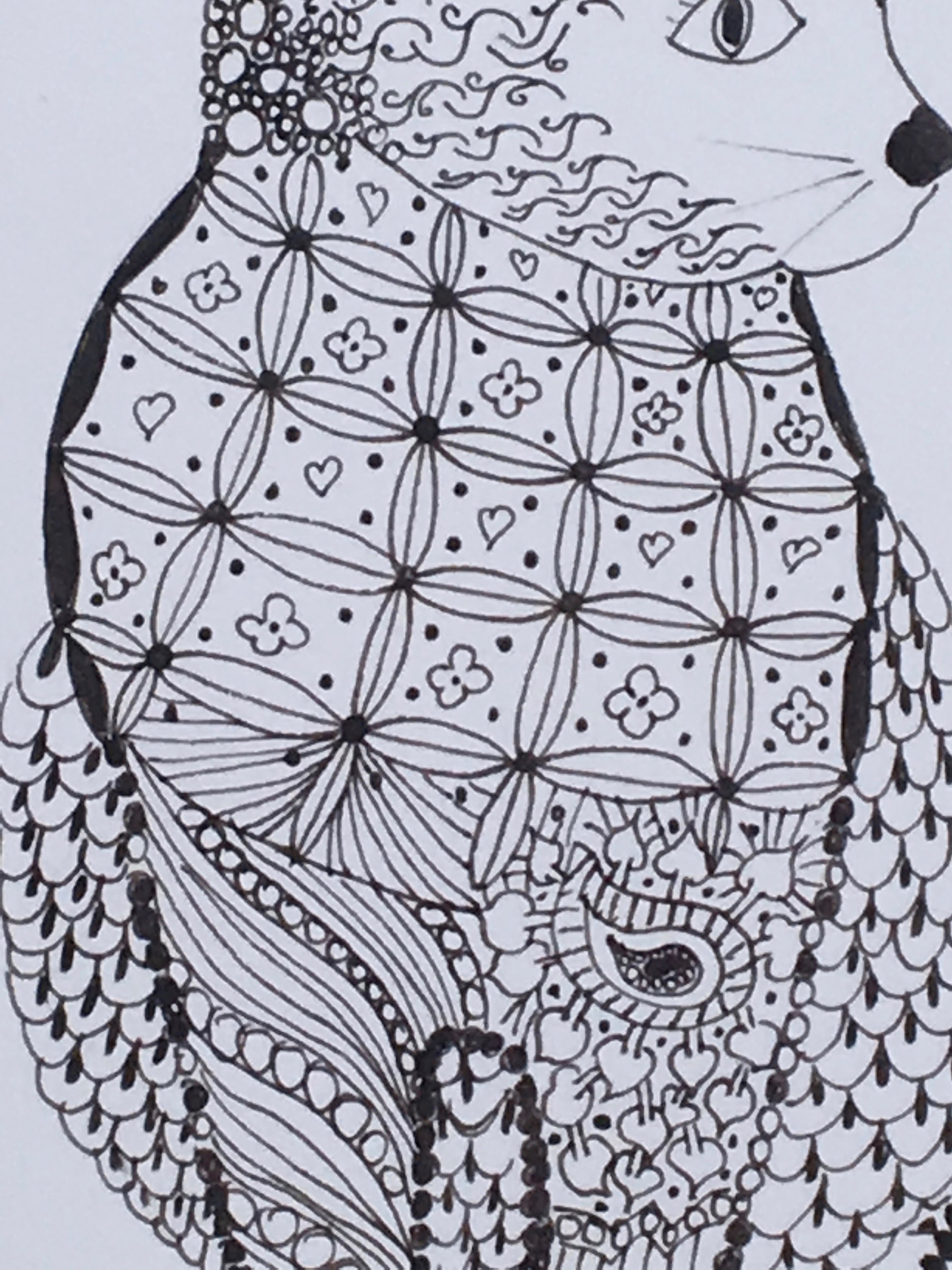Kimi, Cat Card, Cute Female Cat, Pen and Ink, Black and White, Cute Cat ...