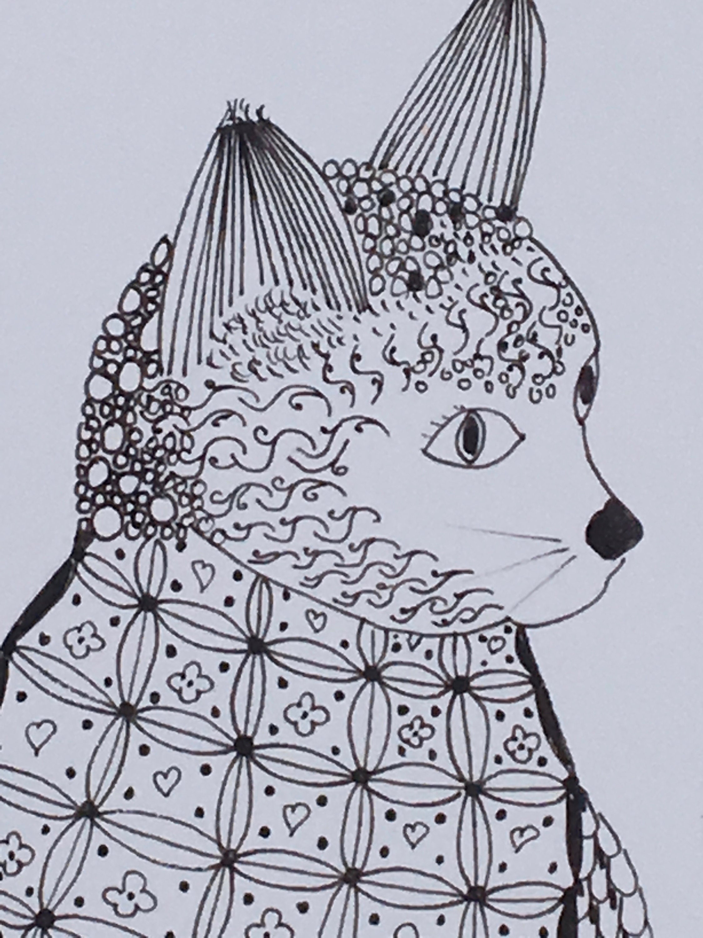 Kimi, Cat Card, Cute Female Cat, Pen and Ink, Black and White, Cute Cat ...