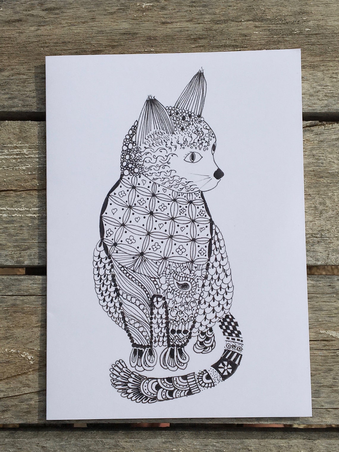Kimi, Cat Card, Cute Female Cat, Pen and Ink, Black and White, Cute Cat ...