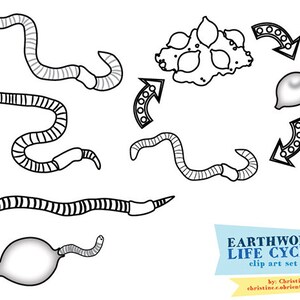 Earthworms Clip Art Set (with Life Cycle) - Etsy
