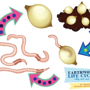Earthworms Clip Art Set (with Life Cycle) - Etsy