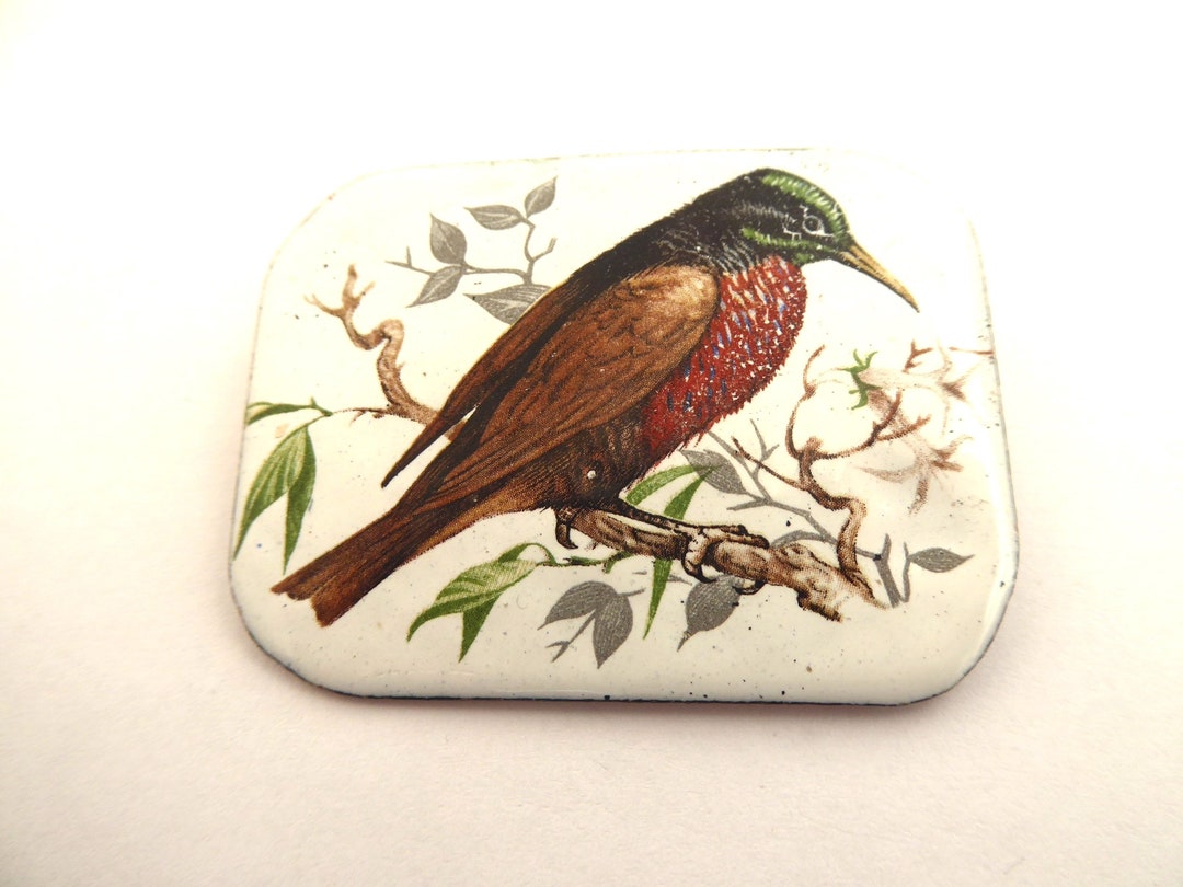 Vintage Enamel on Copper Hand Painted Starling Bird on a Branch Brooch ...