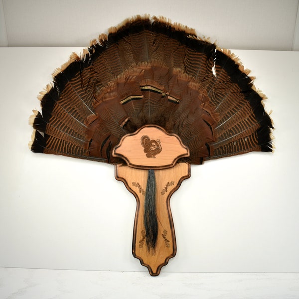 Turkey Fan Mount - Etsy