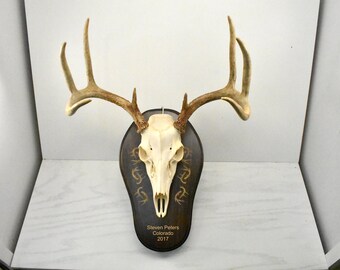 European mount | Etsy