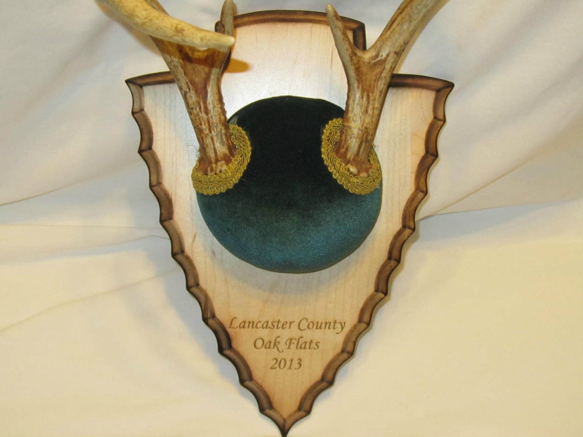 Deer Antler Mounting Kit - Etsy