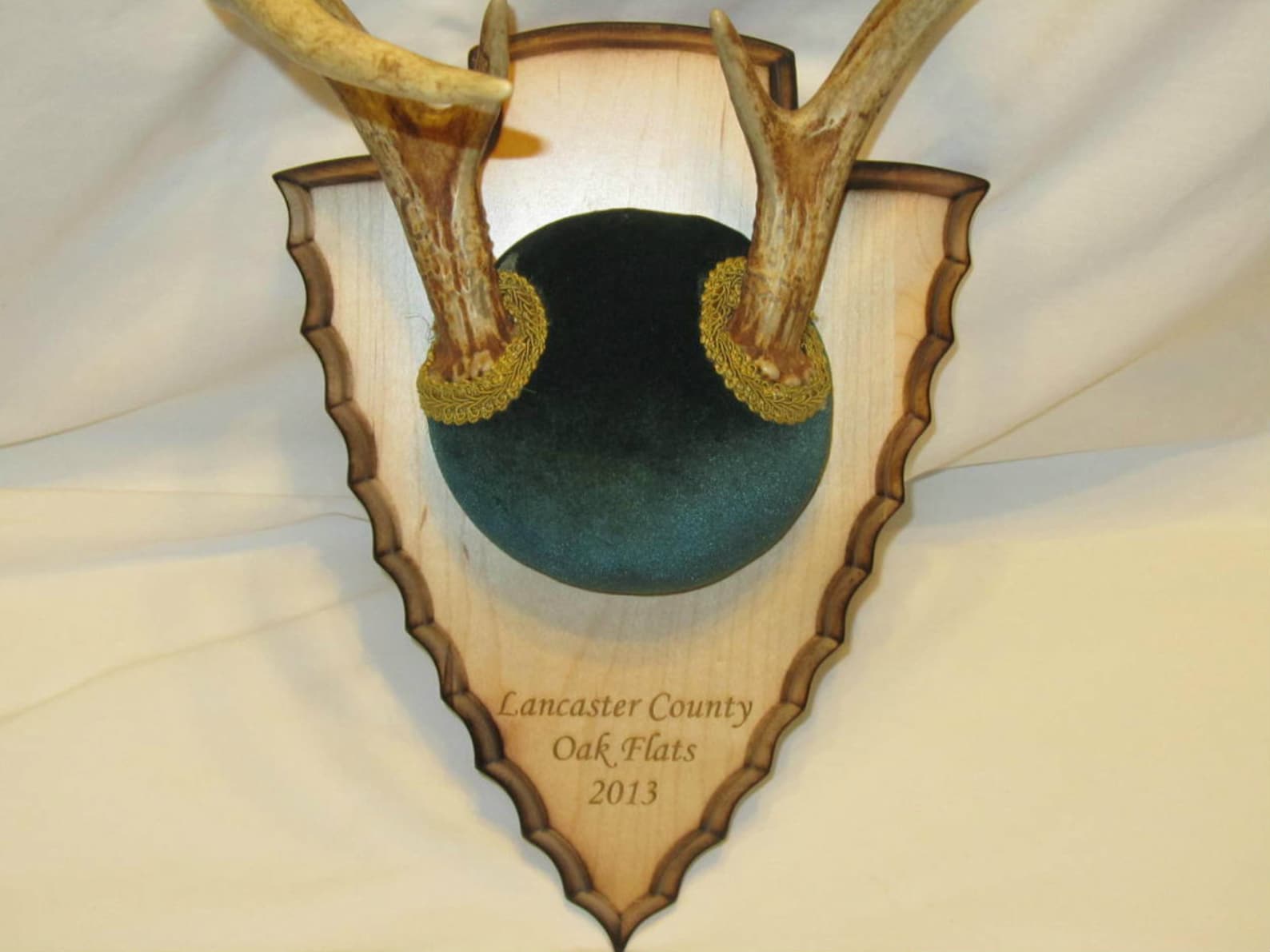 Deer Antler Mounting Kit - Etsy