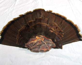 Arrowhead Turkey Wall Mount Wood Engraved Plaque Turkey Fan | Etsy