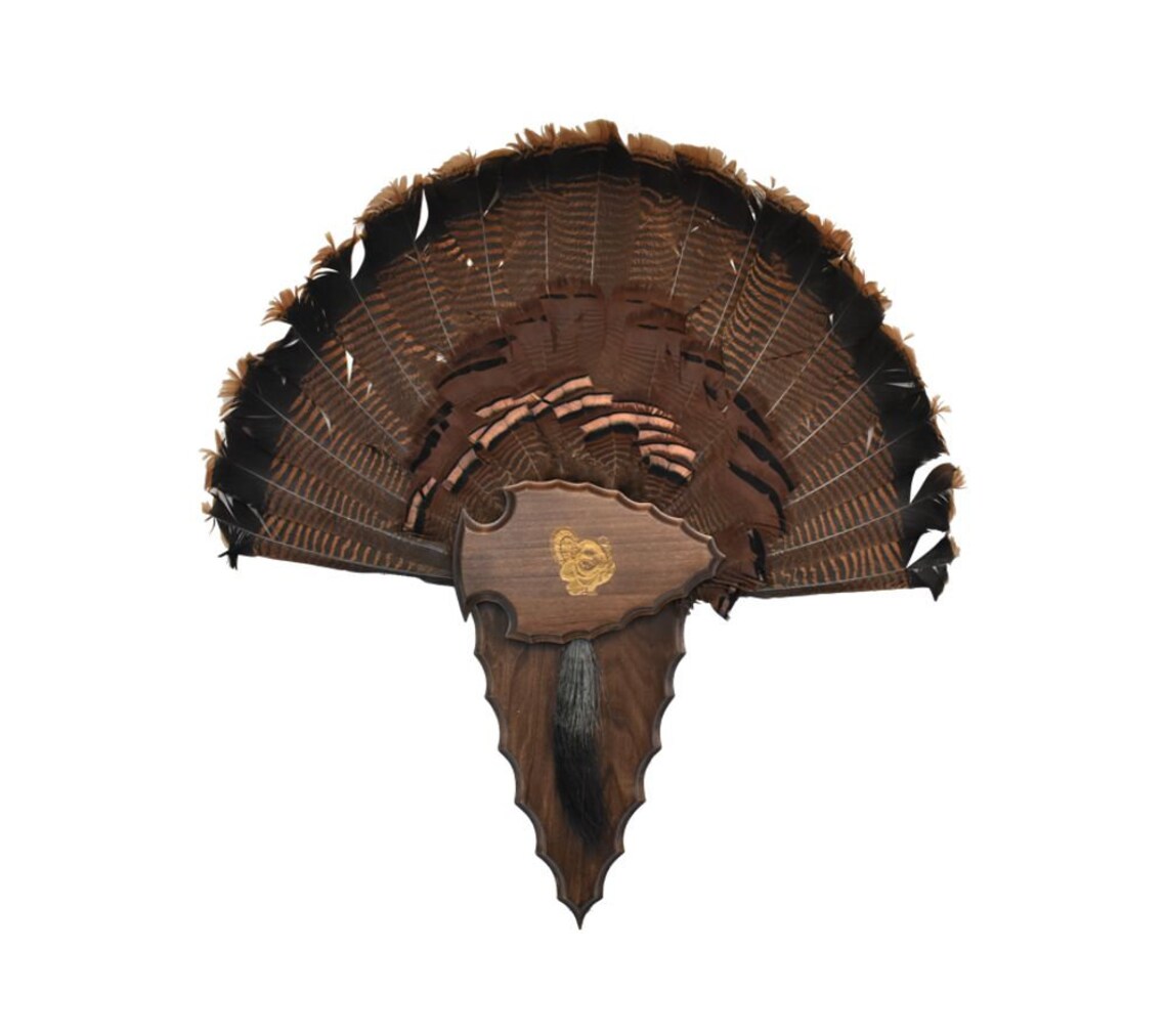 Arrowhead Turkey Wall Mount Wood Engraved Plaque Turkey Fan - Etsy
