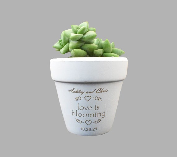 Bulk White Clay Pot Wedding Favors Unique Wedding Favors for Guests in Bulk Love is Blooming Mini Terra Cotta Pots Small Succulent Pot Etsy UK
