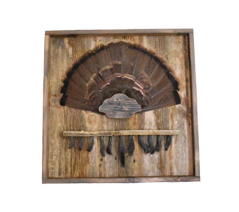 Barnwood Turkey Shadow Box With Tail Cap and Beard Hanger - Etsy