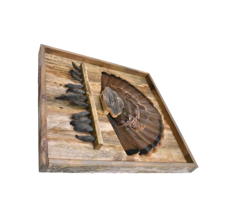 Barnwood Turkey Shadow Box With Tail Cap and Beard Hanger - Etsy