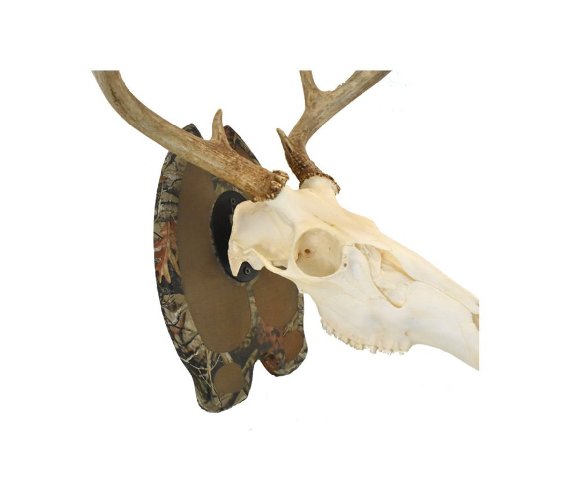 European Deer Skull Mount Plaque Deer Track Plaque With Skull - Etsy