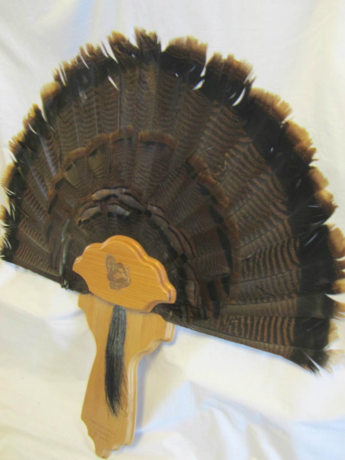 Turkey Tail Wall Mount- Turkey Fan Mount- Taxidermy Bird Wood Engraved ...