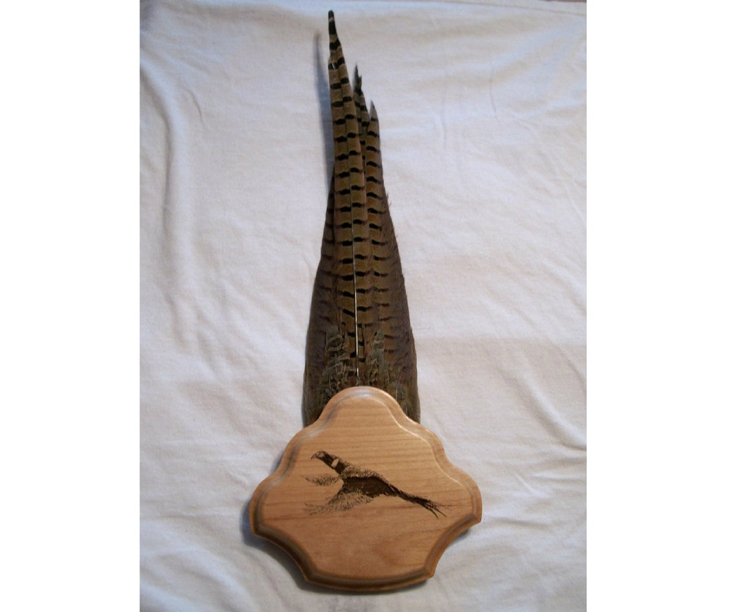Pheasant Plaque Standard Hardwood - Etsy
