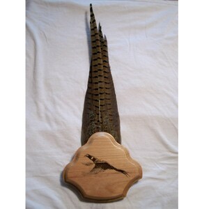 Pheasant Plaque Standard Hardwood - Etsy