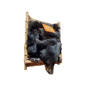 Pack Mount Frame - Etsy