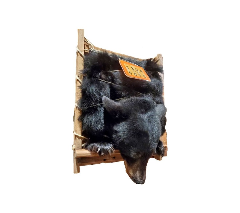 Pack Mount Frame - Etsy