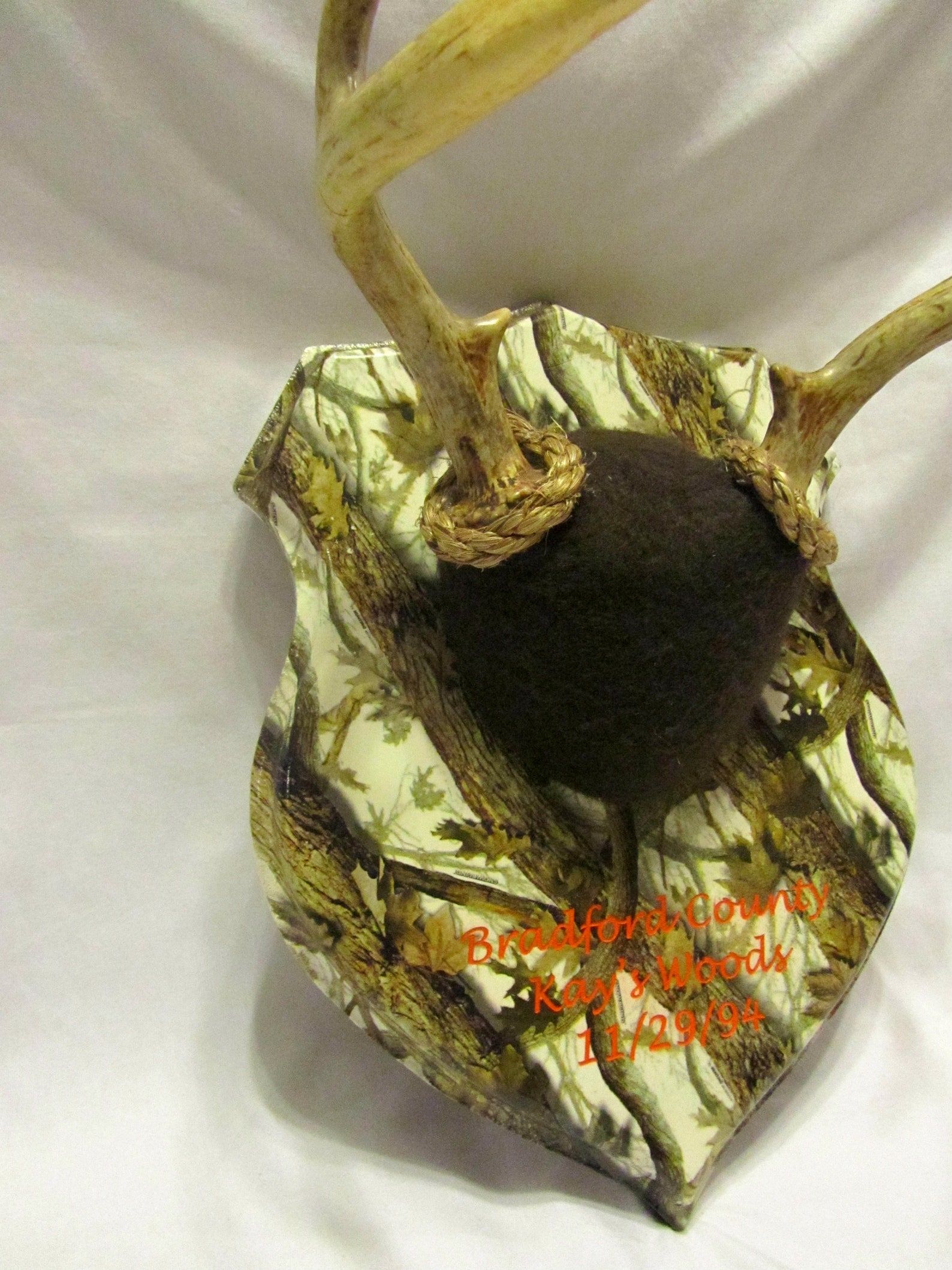 Deer Antler Mounting Kit - Etsy