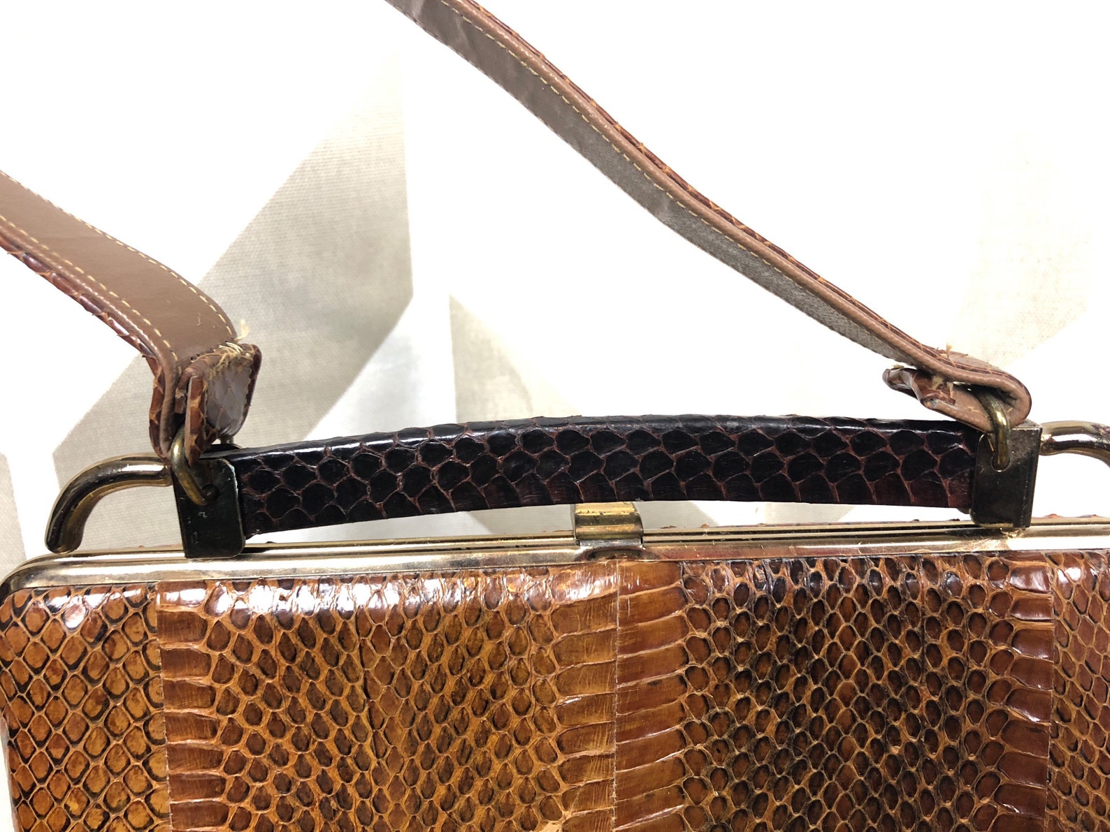 Vintage 1950s Snakeskin Purse Vintage Snakeskin Purse - Etsy